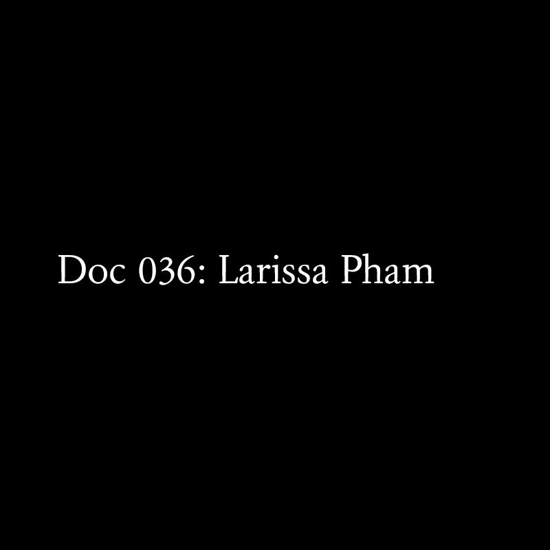 Doc 036: Larissa Pham - Interlude Docs