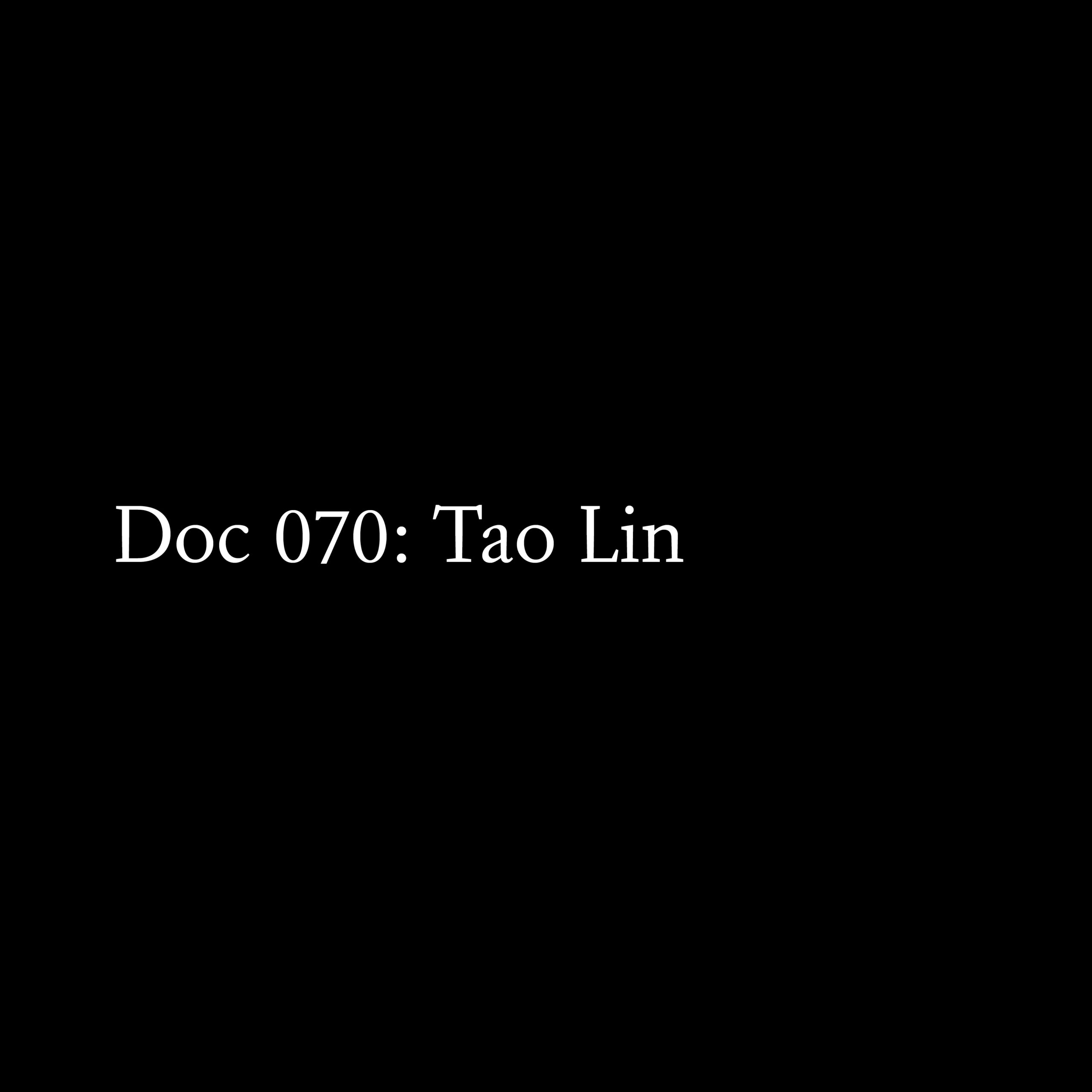 Doc 070: Tao Lin - Interlude Docs