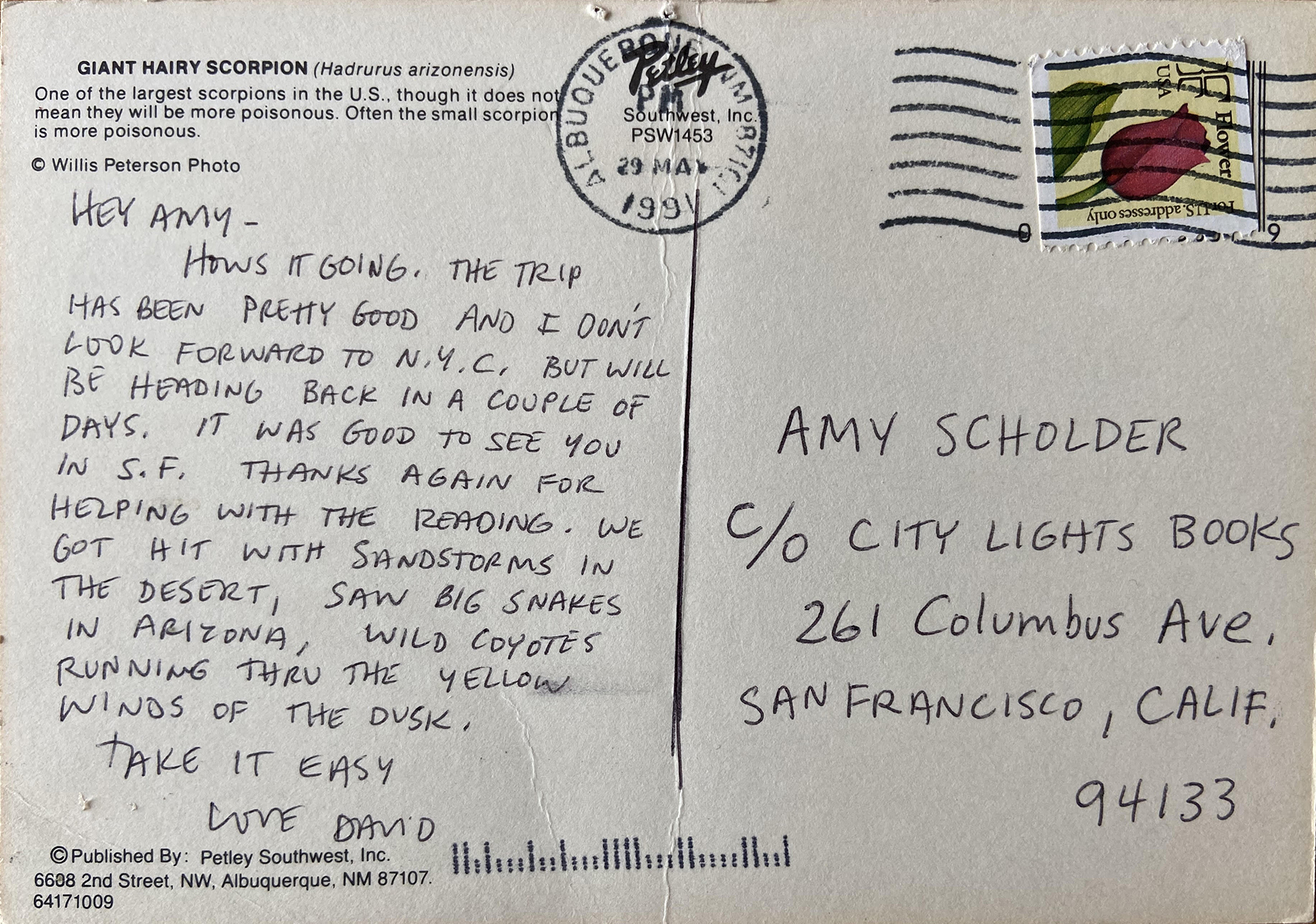 Doc 100: Amy Scholder - Interlude Docs