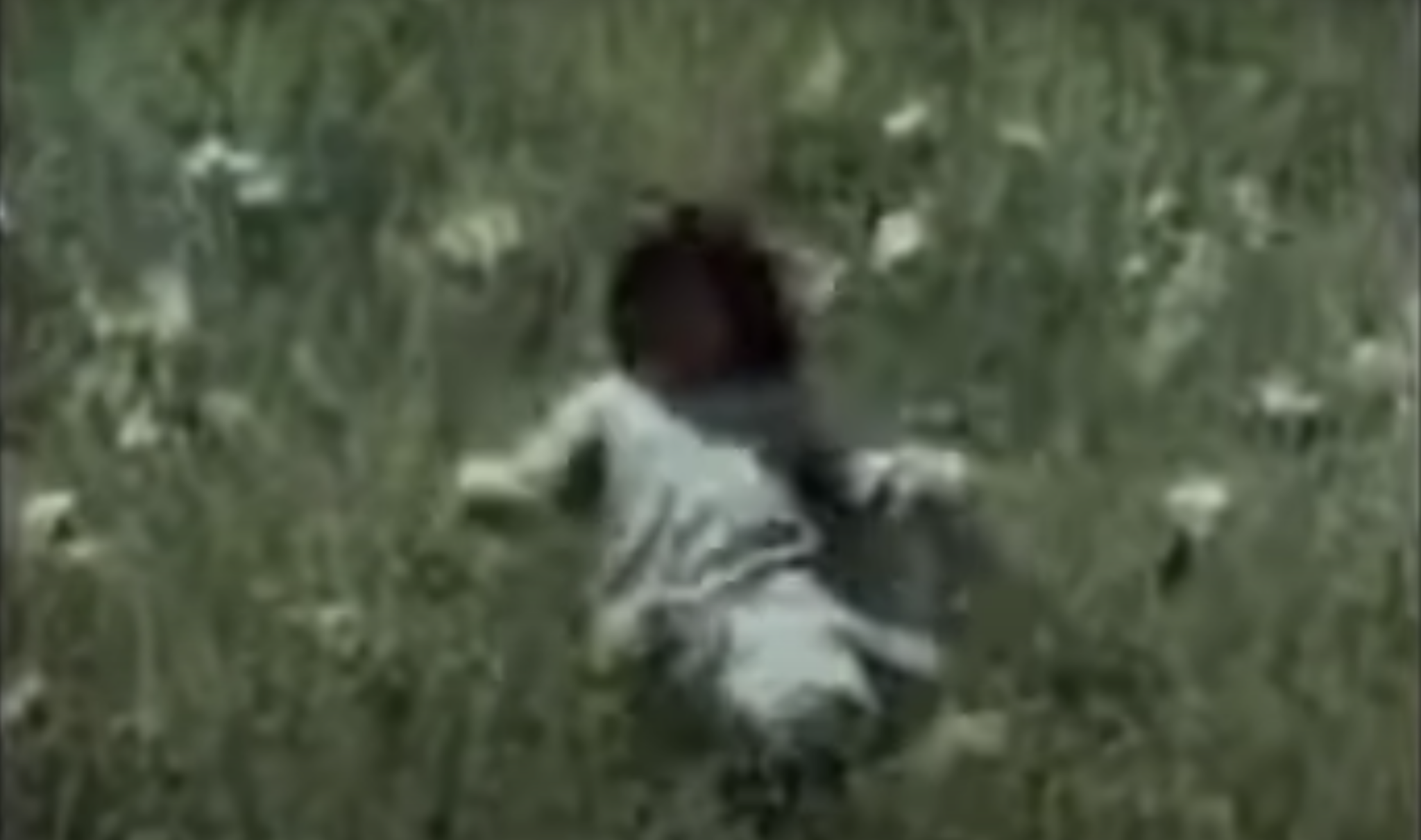 Doc 111: Gracie Hadland - Interlude Docs