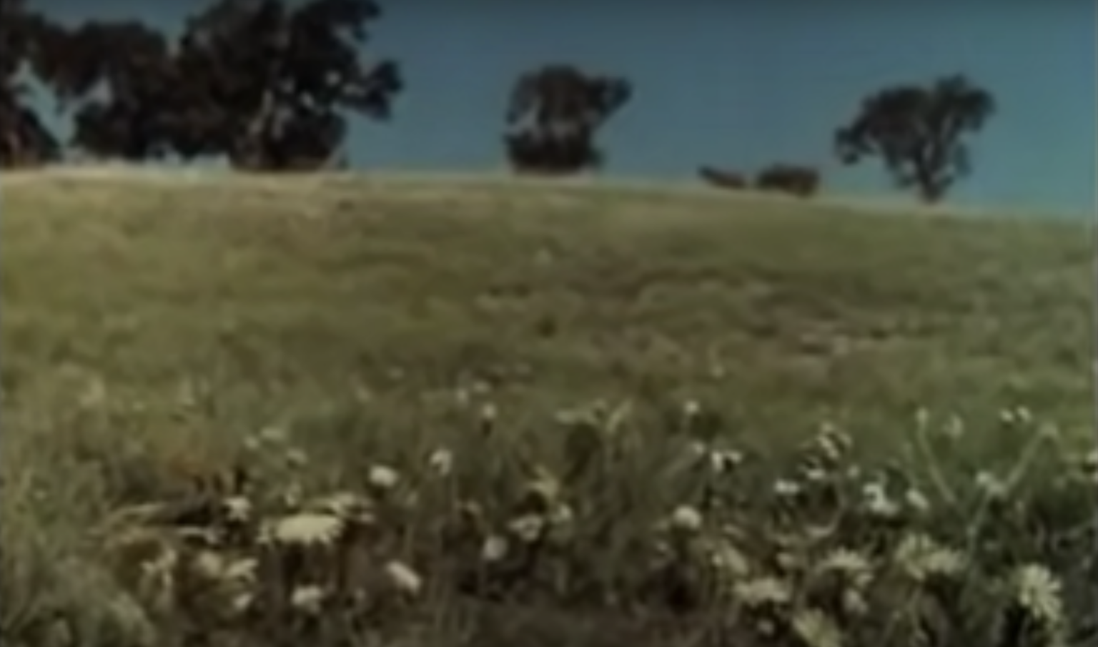 Doc 111: Gracie Hadland - Interlude Docs