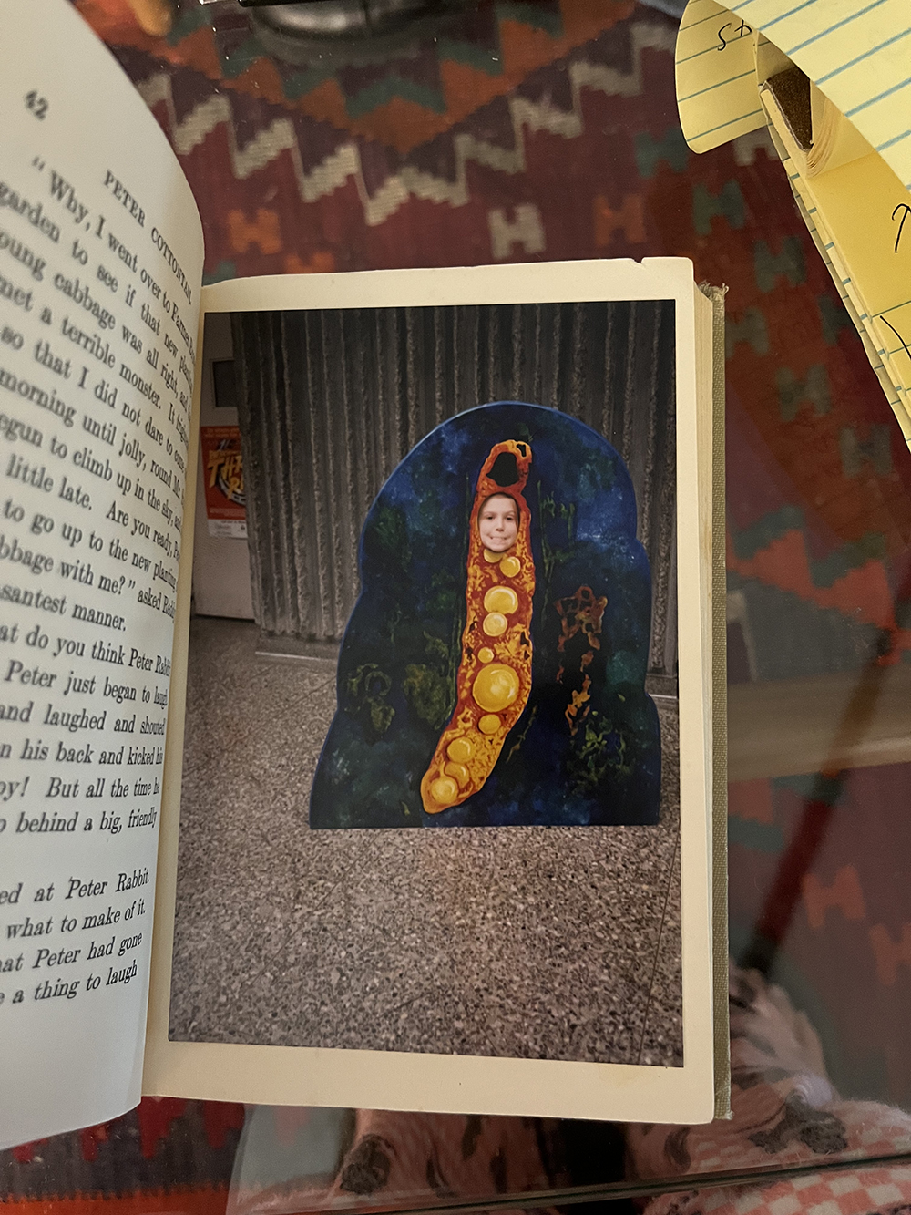 Doc 127: Fiona Alison Duncan - Interlude Docs